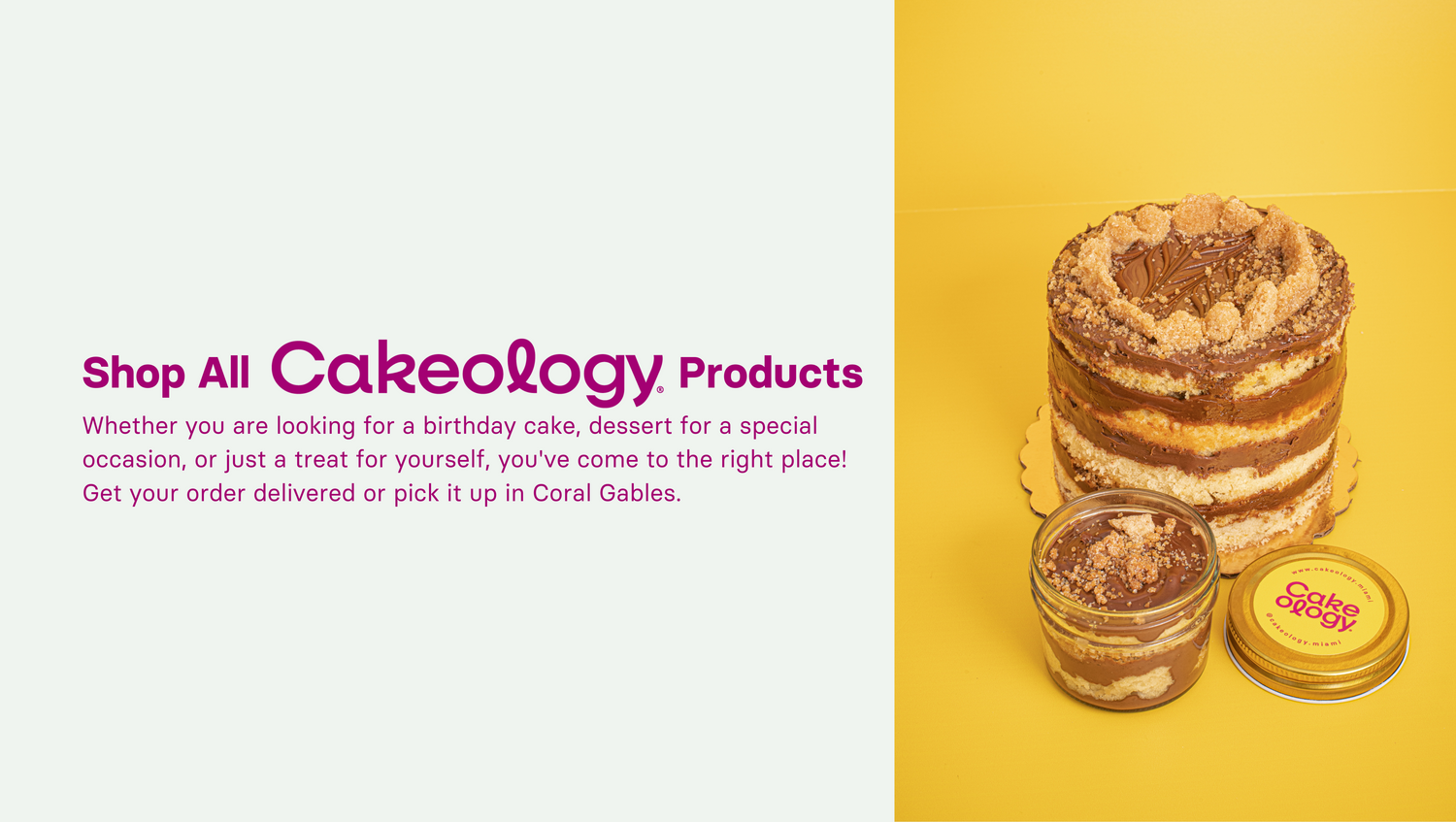 SHOP YOUR FAVORITE CAKEOLOGY PRODUCT – Cakeology Miami